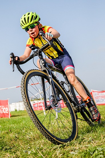 Home - Blue Shark Images